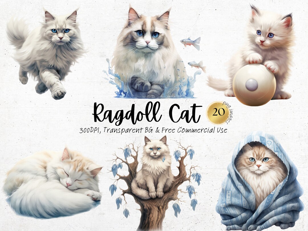 Watercolor Ragdoll Cat Clipart Printable Ragdoll Kitten Png, Nursery ...
