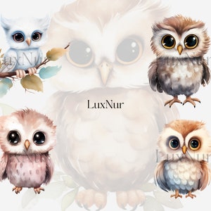 Watercolor Baby Owls Clipart Printable Adorable Woodland Animals Png Kawaii Bird Chicken Decor ...
