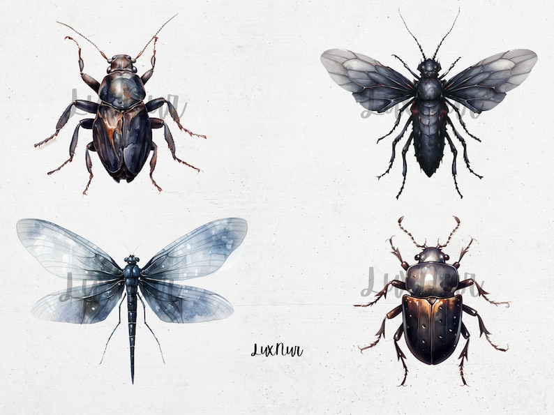 Watercolor Gothic Bugs Clipart Printable Dark Fantasy Insects - Etsy