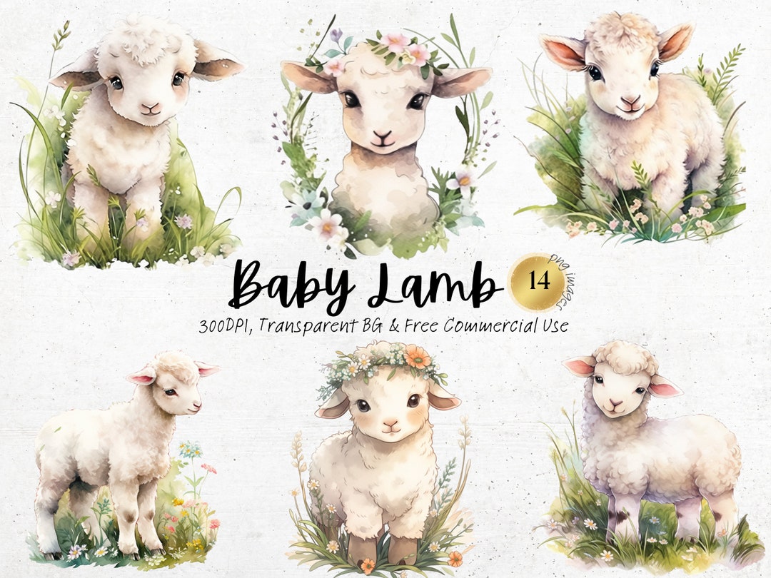 Baby Lamb Clip Art
