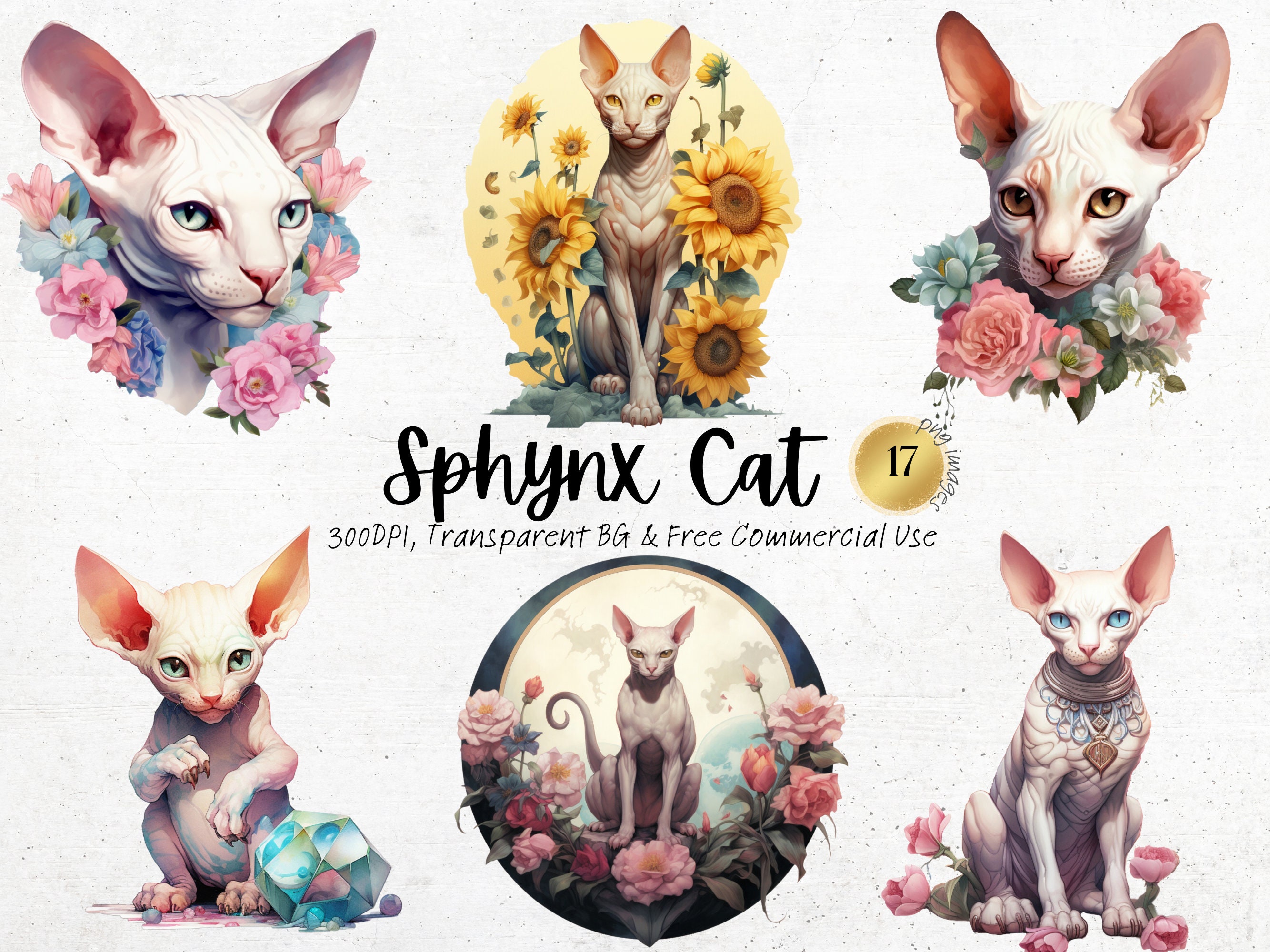 Watercolor Sphynx Cat Clipart Printable Sphinx Kitten Png - Etsy