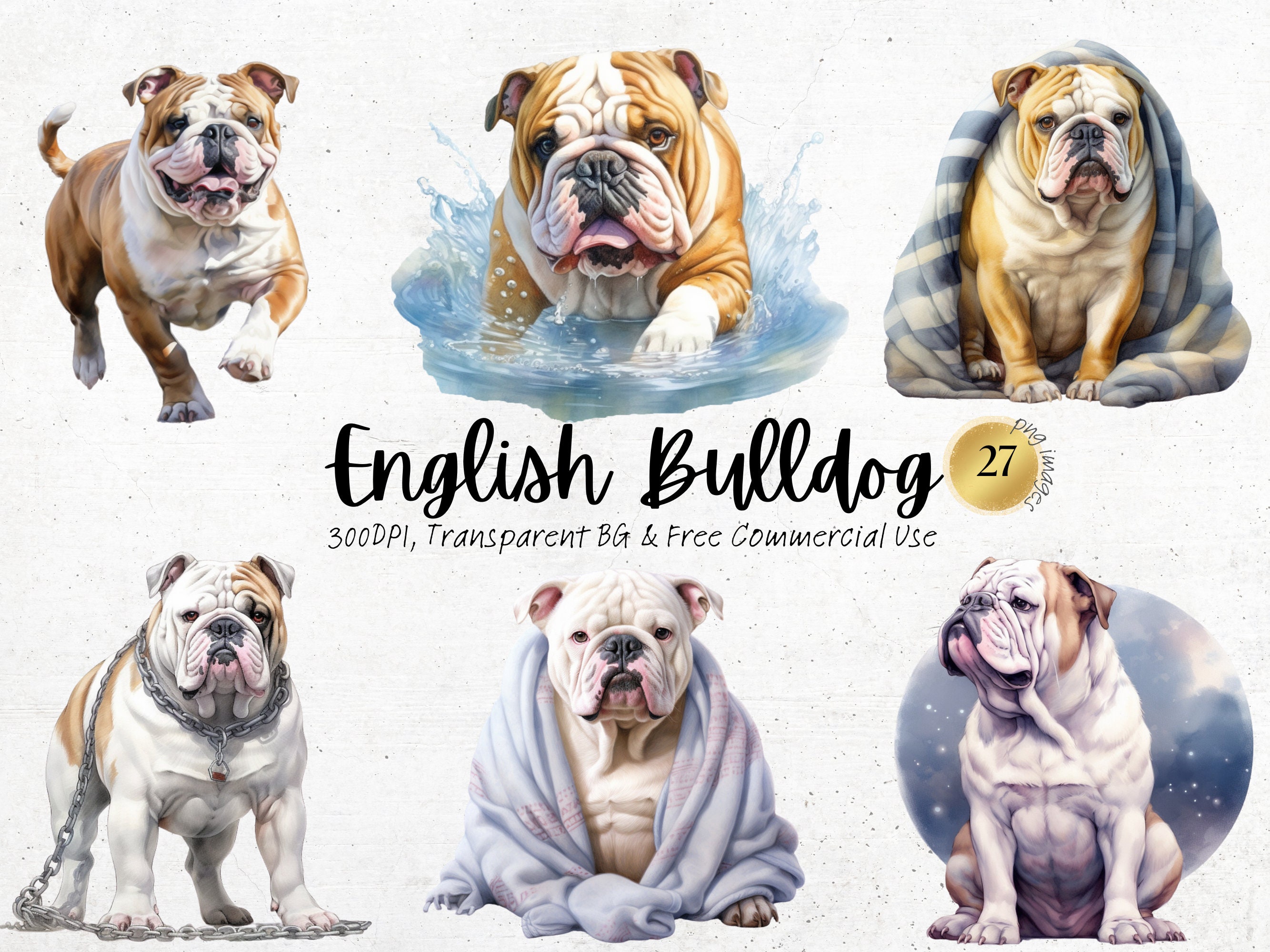 Watercolor English Bulldog Clipart Printable Bull Dog Puppy - Etsy