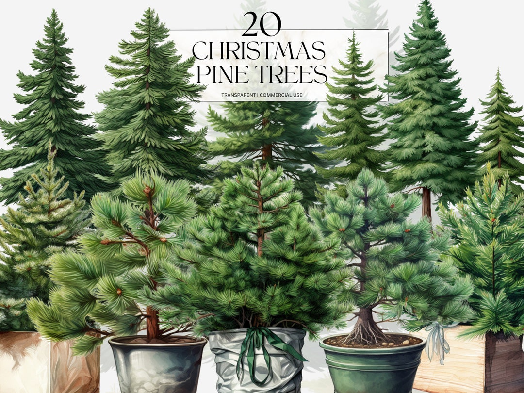 Watercolor Christmas Pine Trees Clipart, Printable Holiday Nature Tree ...
