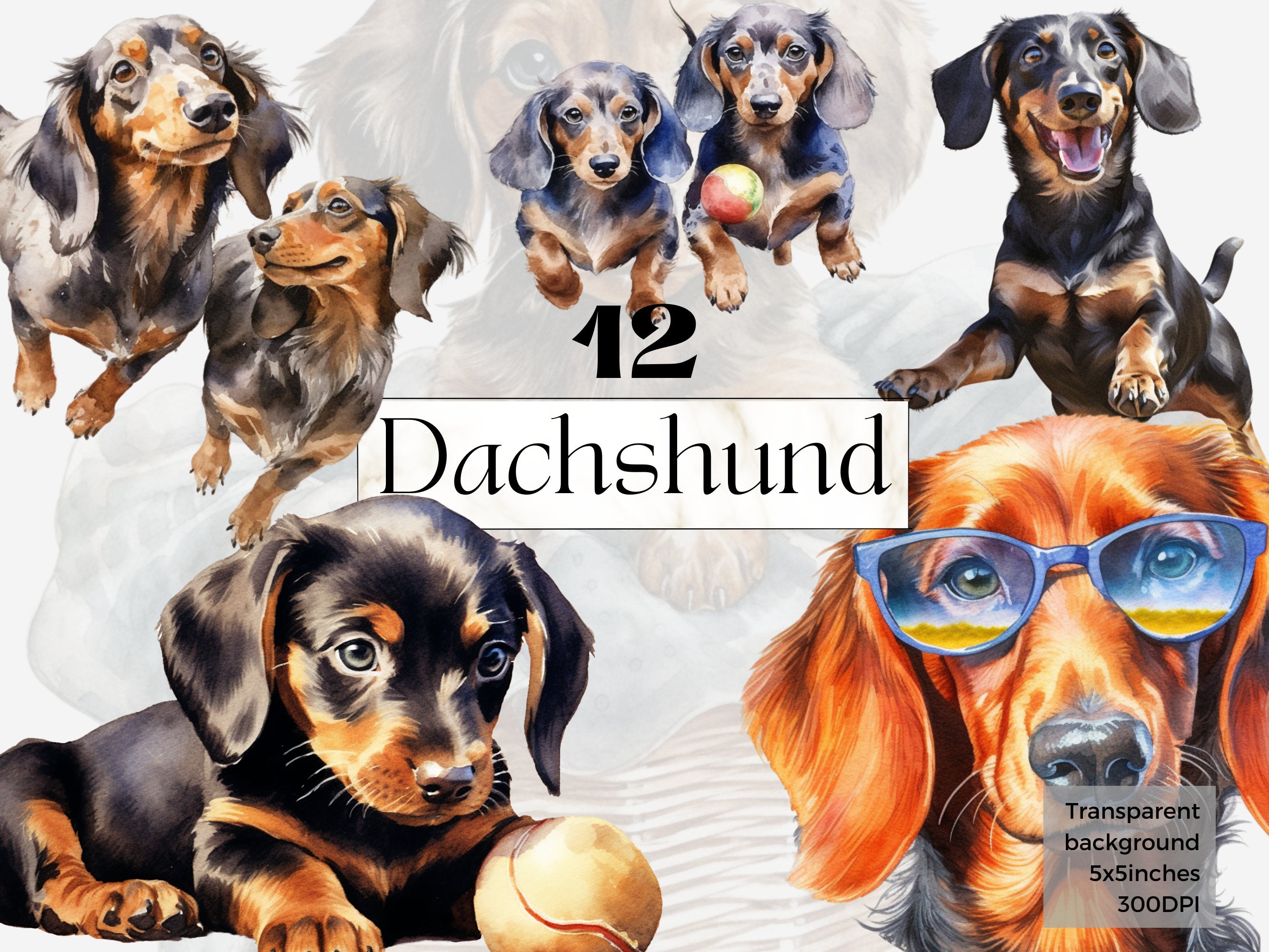 Watercolor Dachshund Clipart Printable Sausage Dog Png Dog - Etsy