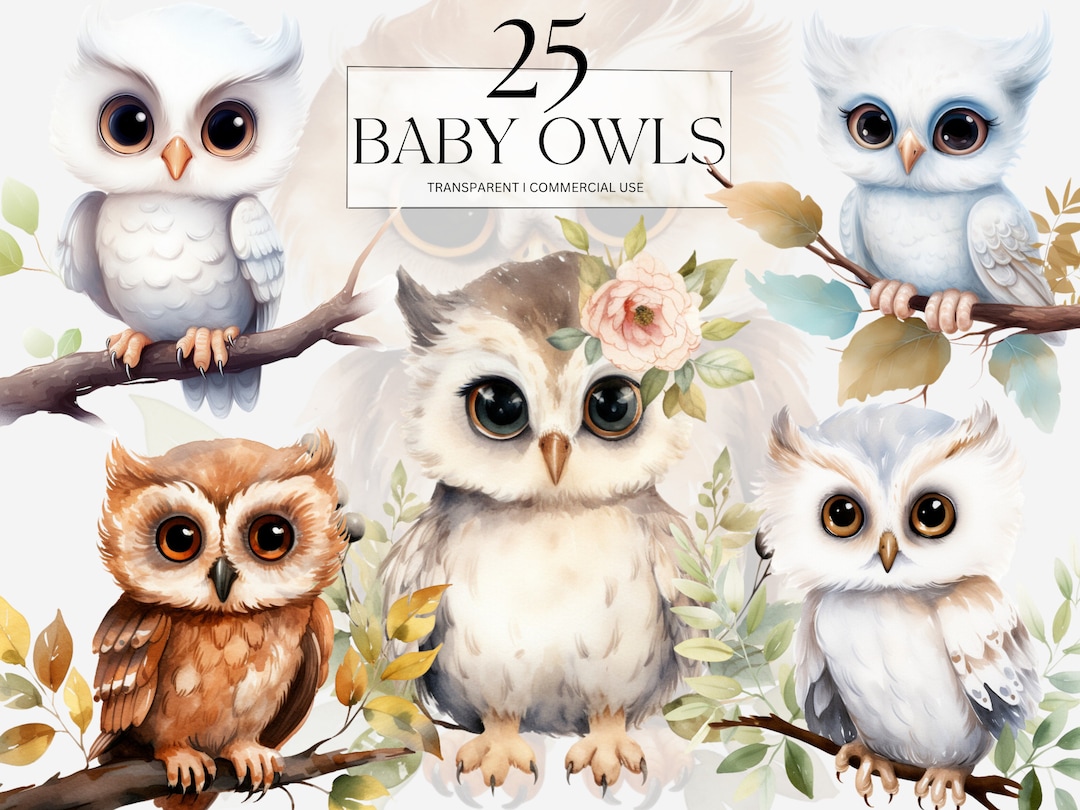 Watercolor Baby Owls Clipart Printable Adorable Woodland Animals Png ...