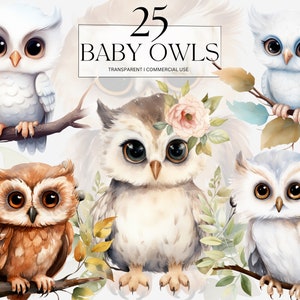 Watercolor Baby Owls Clipart Printable Adorable Woodland Animals Png Kawaii Bird Chicken Decor ...
