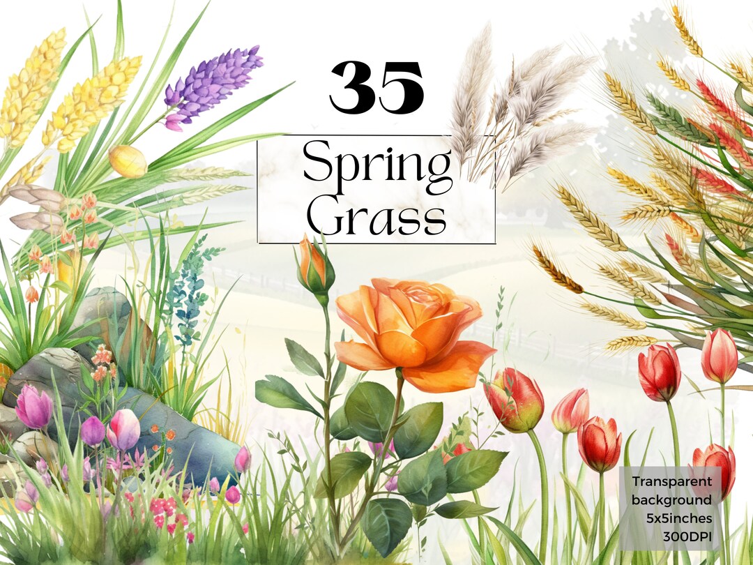 Watercolor Spring Grass Clipart Png, Printable Rustic Farmhouse Garden ...