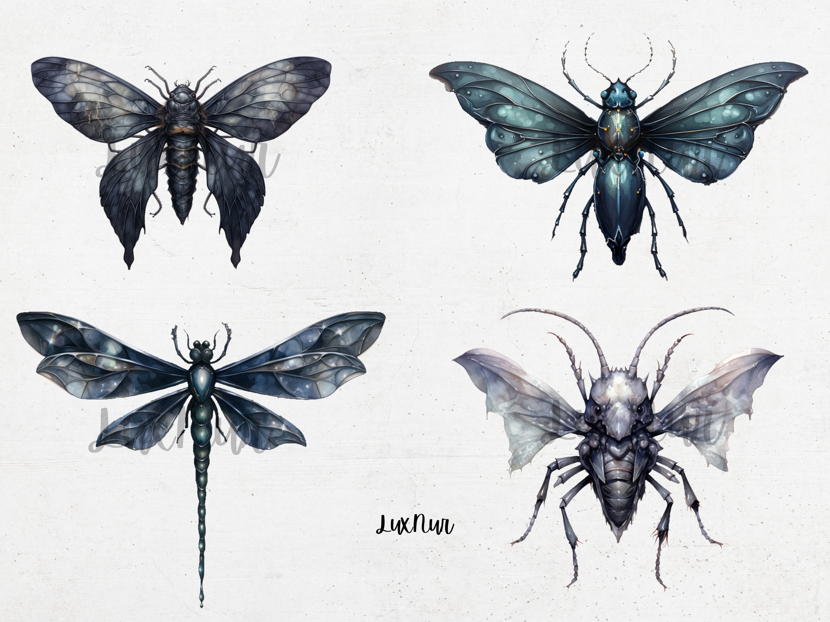 Watercolor Gothic Bugs Clipart Printable Dark Fantasy Insects - Etsy