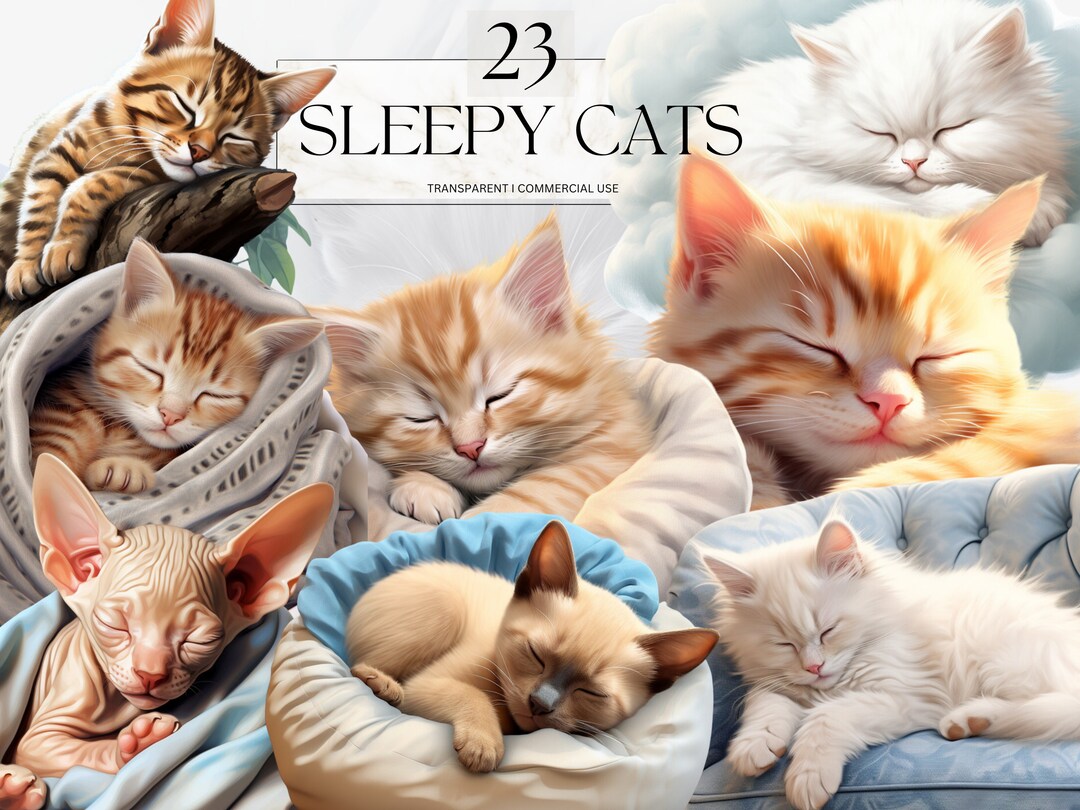 Watercolor Sleepy Cats Clipart, Printable Cozy Kawaii Cat Png, Kitten ...