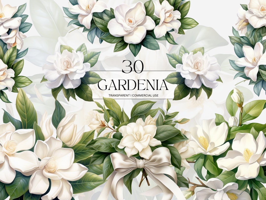 Watercolor Gardenia Clipart Printable Botanical Floral Ephemera Png ...