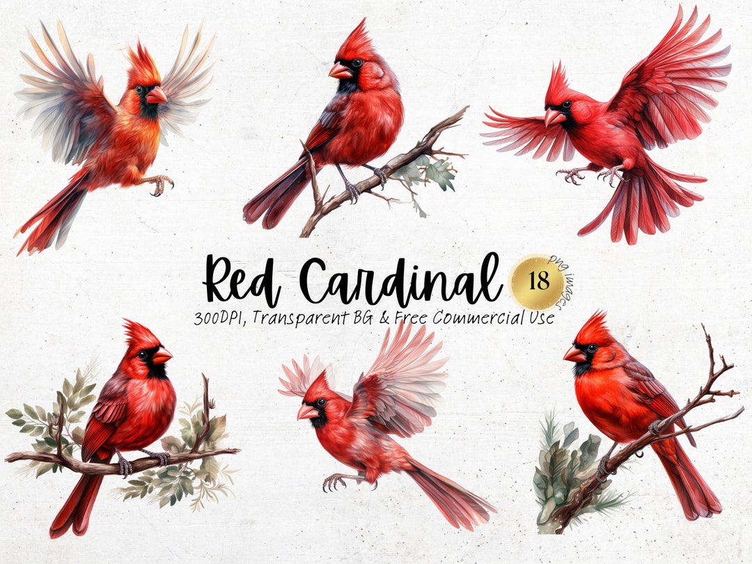 Watercolor Red Cardinal Clipart, Printable Cute Bird on Floral Tree Png ...