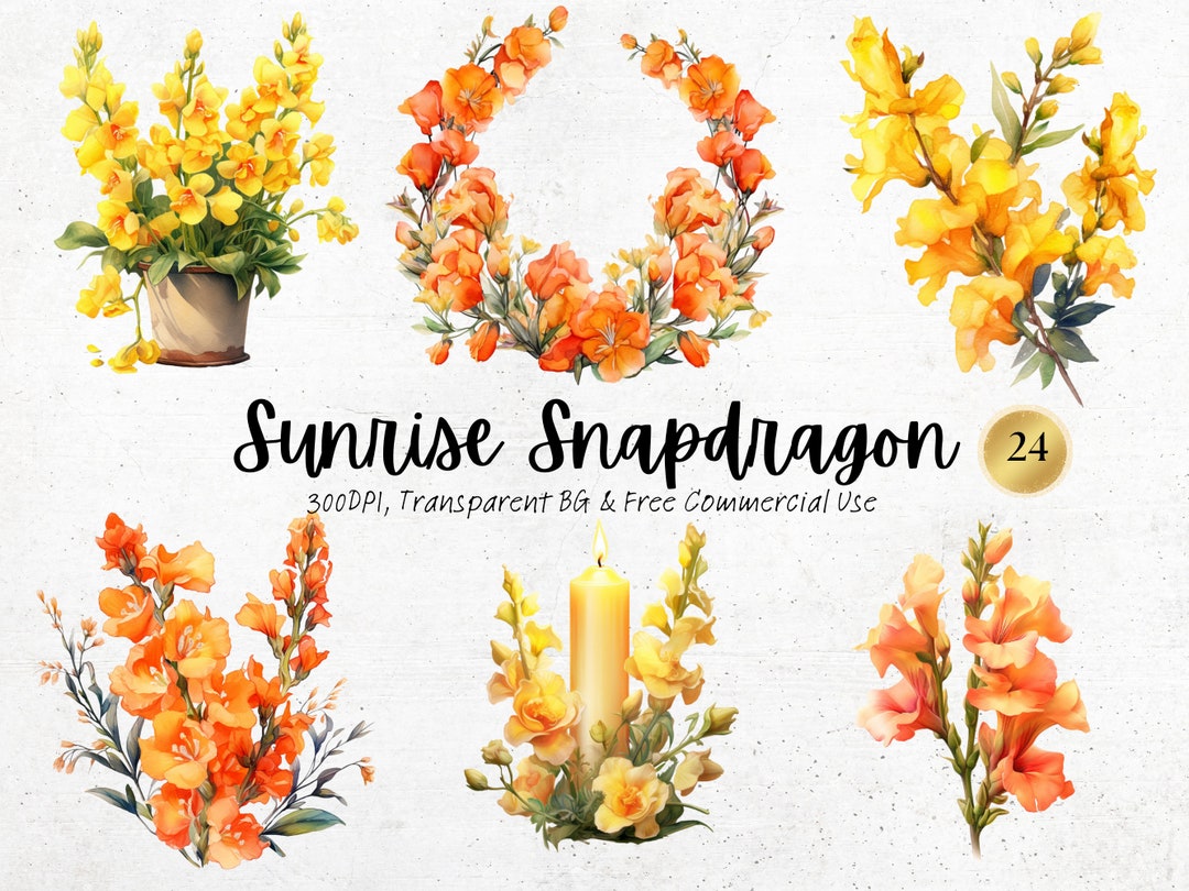 Watercolor Snapdragon Clipart, Printable Yellow Orange Spring Flowers ...