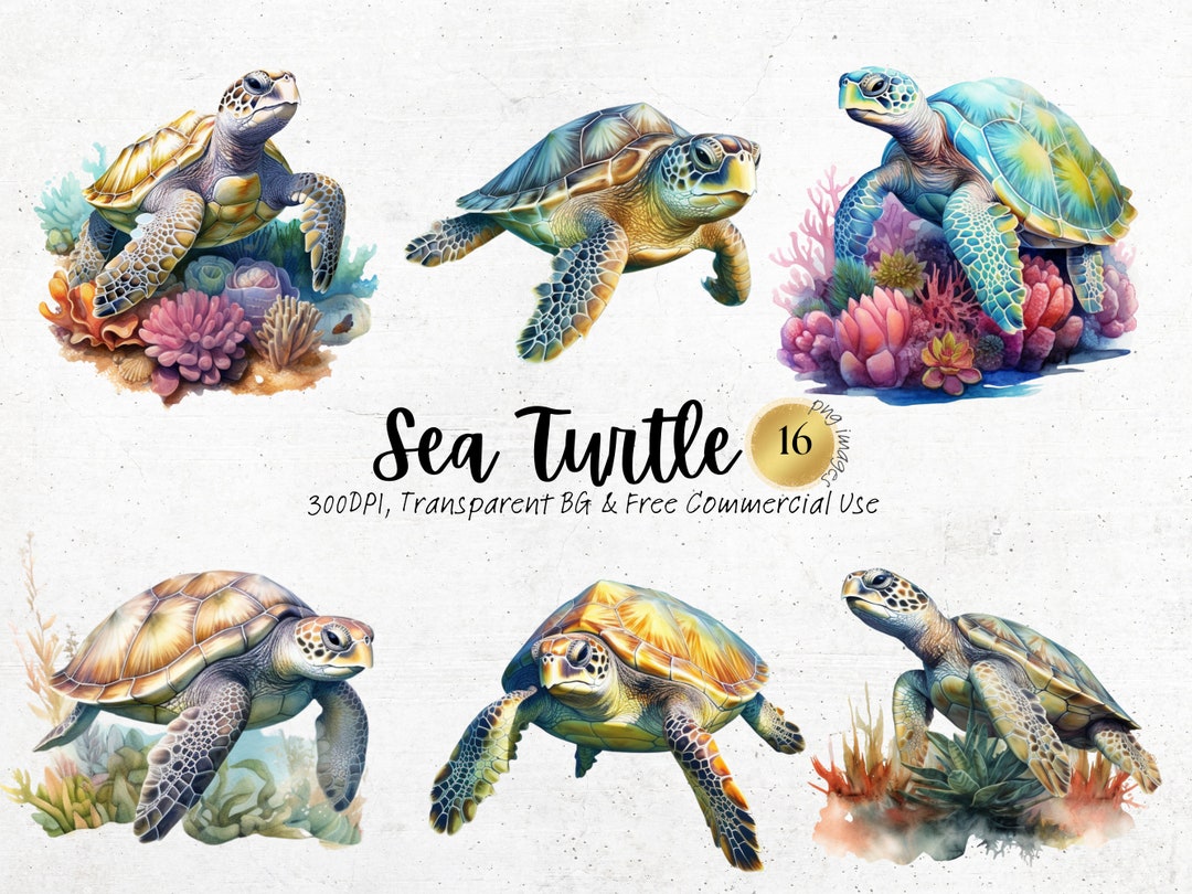 Watercolor Sea Turtle Clipart, Printable Ocean Animal, Under the Sea ...