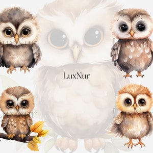 Watercolor Baby Owls Clipart Printable Adorable Woodland Animals Png Kawaii Bird Chicken Decor ...
