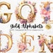 Alphabet Watercolor Png Clipart, Printable Gold Floral Letter Wedding ...