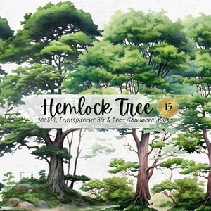 Watercolor Hemlock Tree Clipart, Printable Green Tree Png, Nature ...