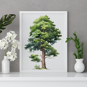 Watercolor Hemlock Tree Clipart, Printable Green Tree Png, Nature ...