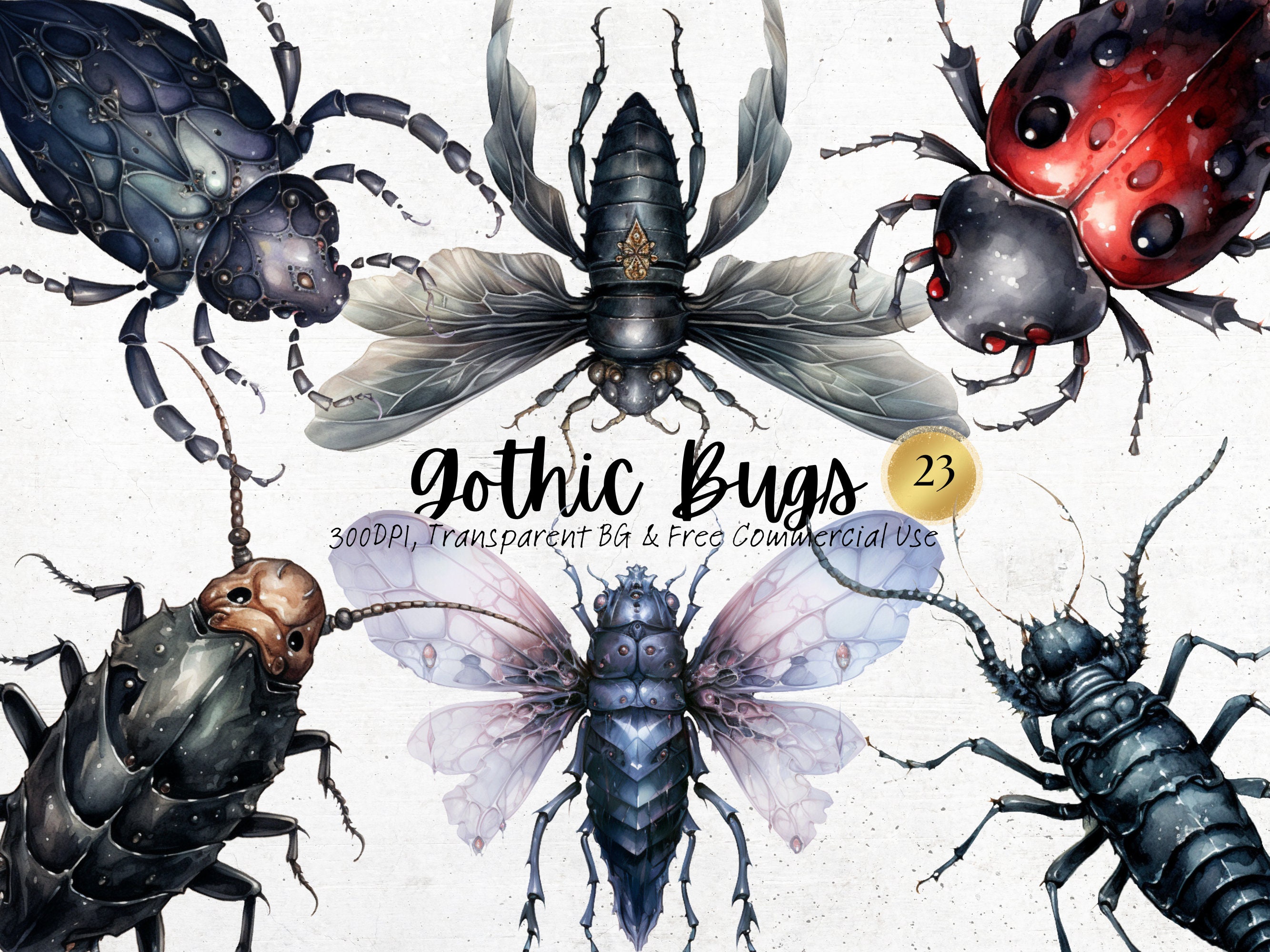 Watercolor Gothic Bugs Clipart Printable Dark Fantasy Insects - Etsy