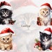 Watercolor Christmas Cat Clipart Printable Adorable Tabby Cat - Etsy