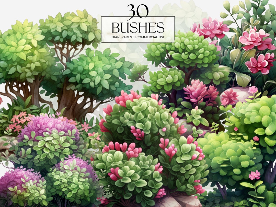 Watercolor Bushes Clipart Printable Botanical Plant Journal Png Fantasy ...
