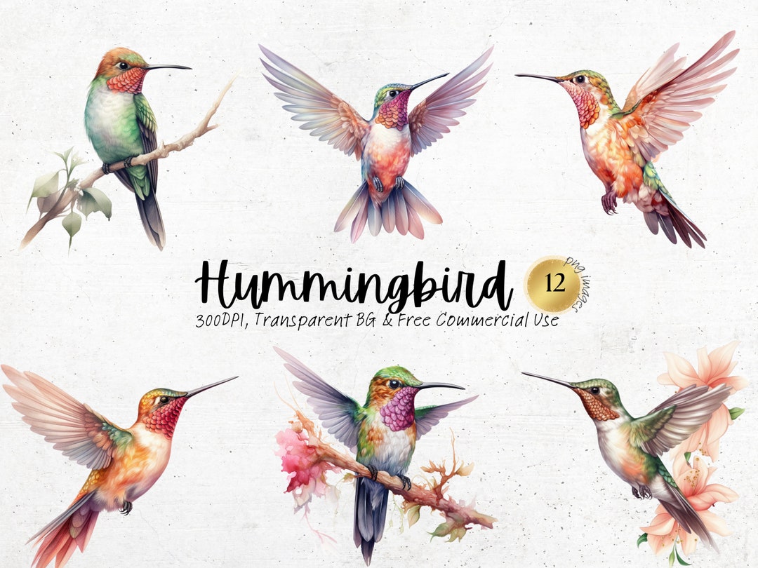 Watercolor Hummingbird Clipart, Printable Bird on Tree Png Art Print ...