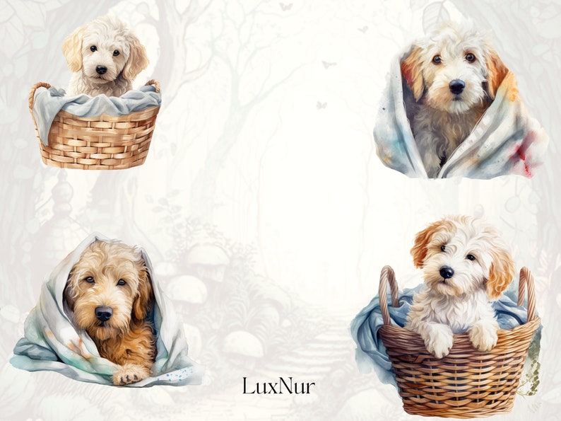 Watercolor Goldendoodle Png Clipart Printable Poodle Mix Dog - Etsy