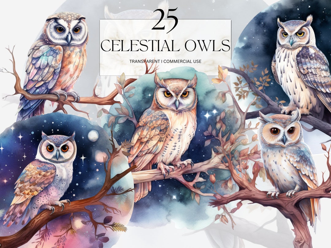 Watercolor Celestial Owls Clipart, Printable Heavenly Astral Bird Png ...