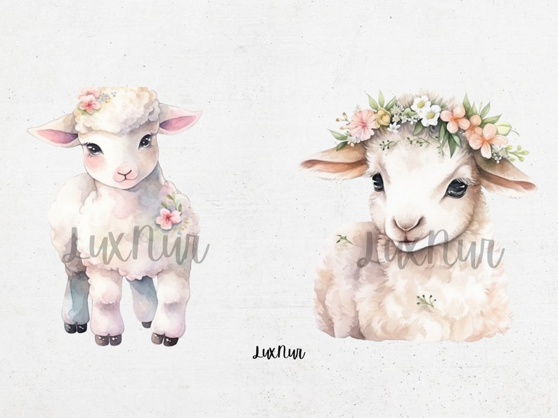 Watercolor Baby Lamb Clipart Printable Farm Animal White - Etsy