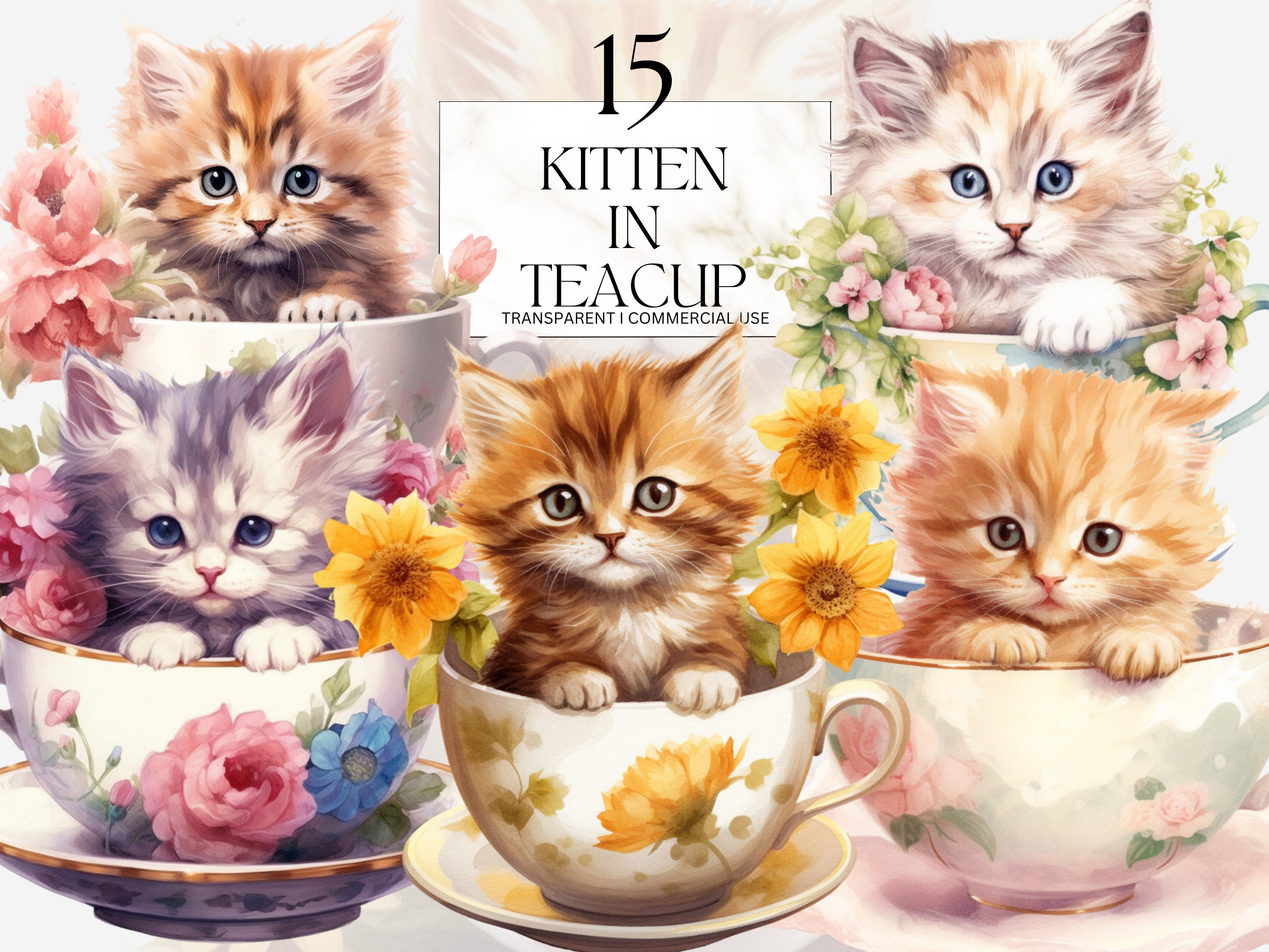 Fluffy Teacup Kittens