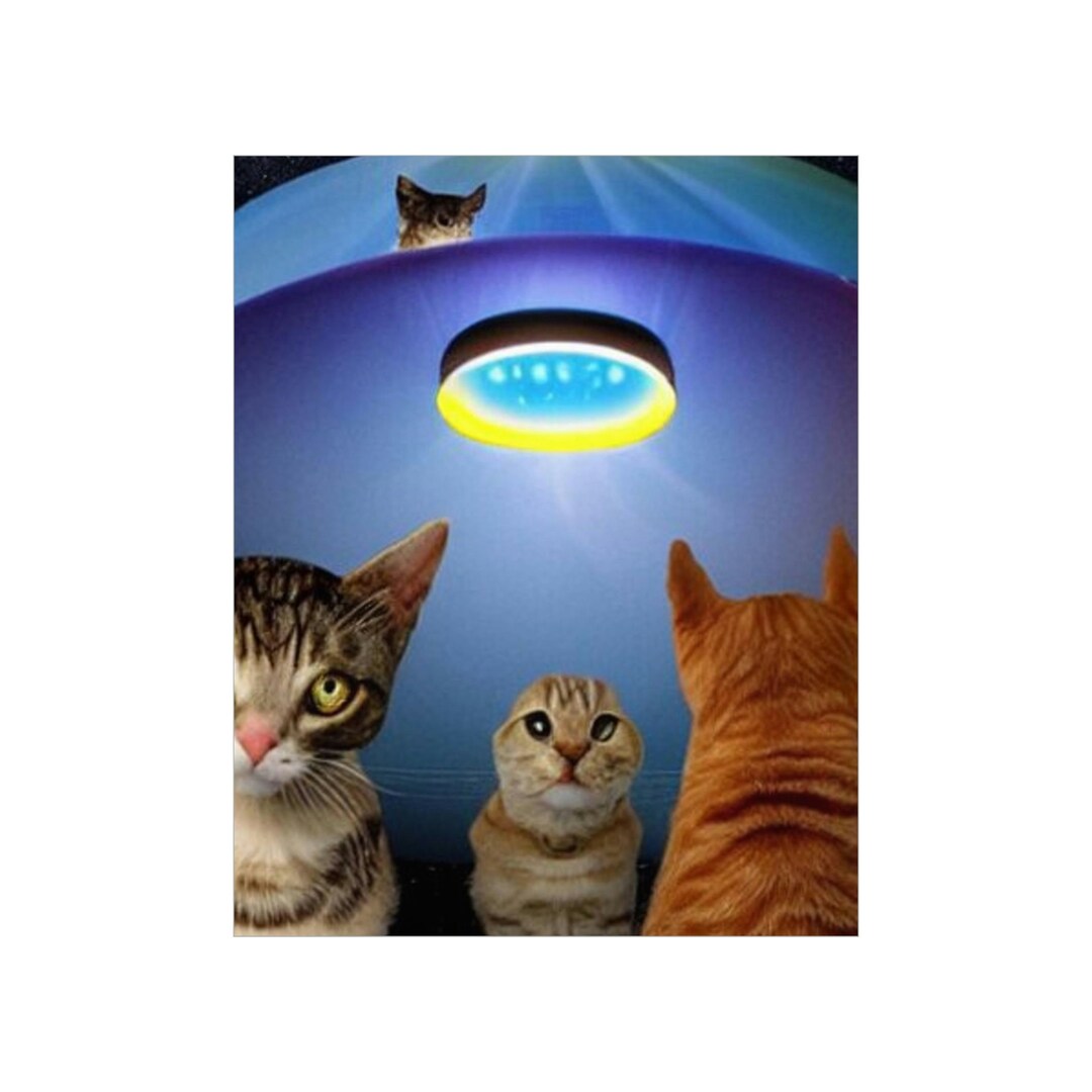 Cute Kitties in Flying Saucer Premium Museum Quality Poster - Etsy