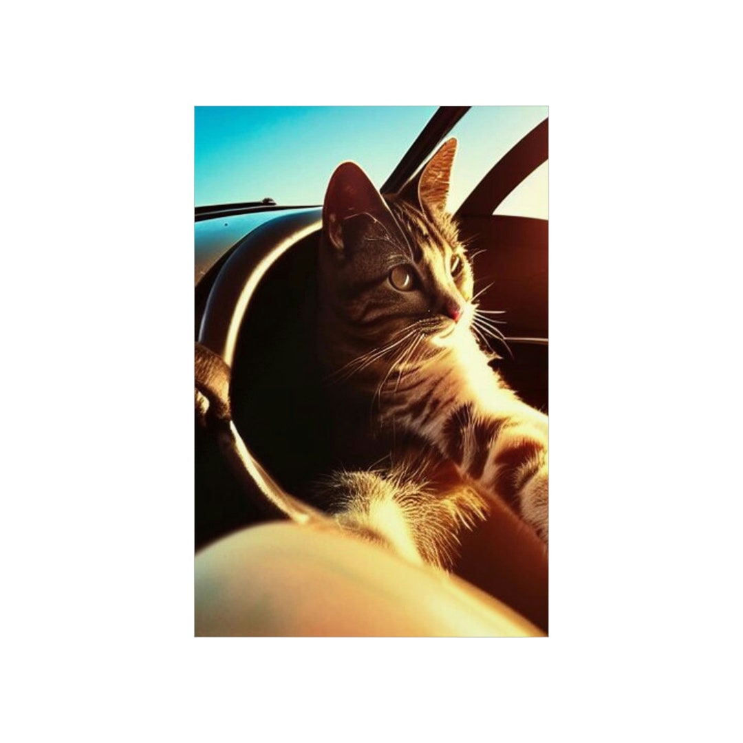 Cute Cat Driving Car Museum Quality Poster - Etsy