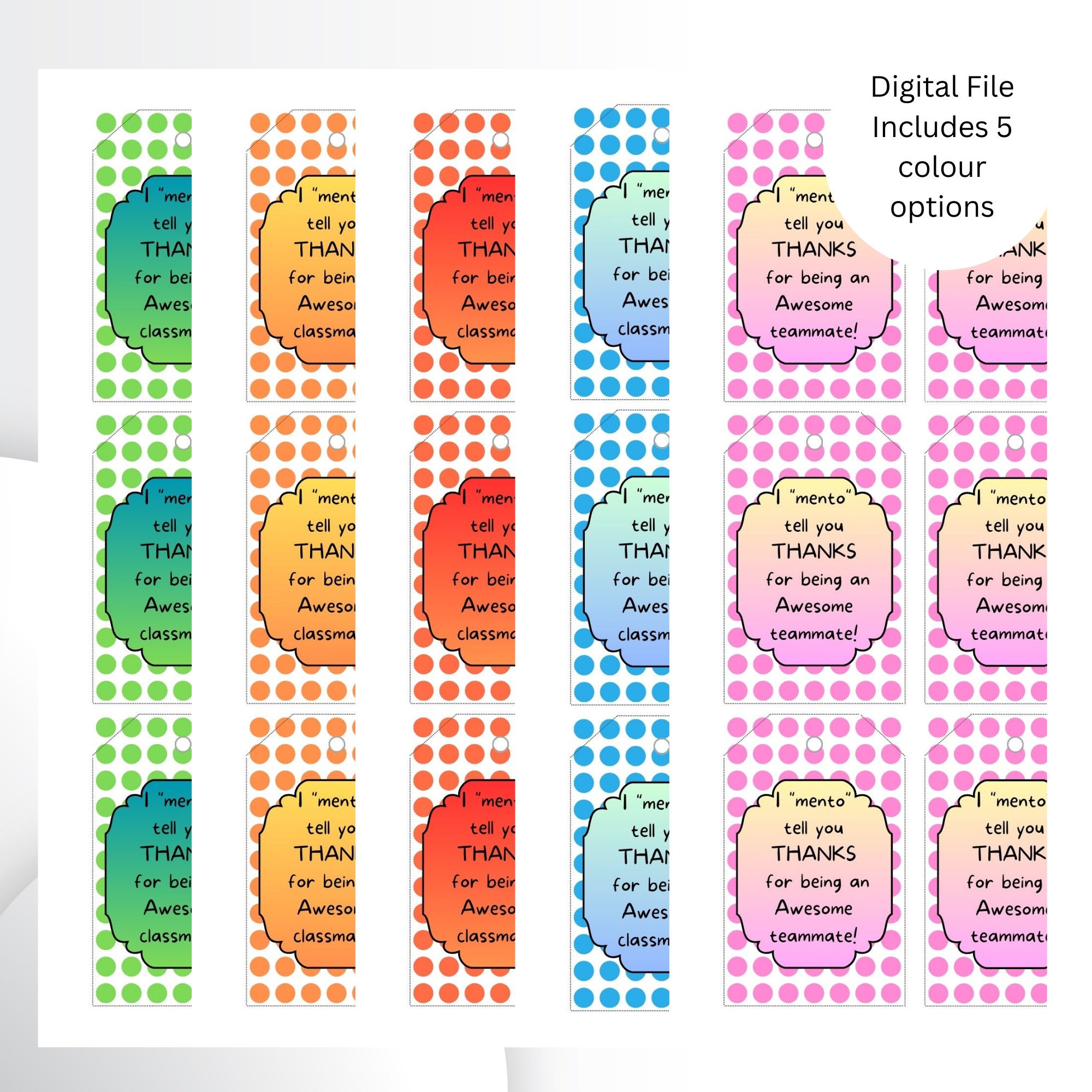 Printable Class Gift Tags | Last Day of School | Student Appreciation ...
