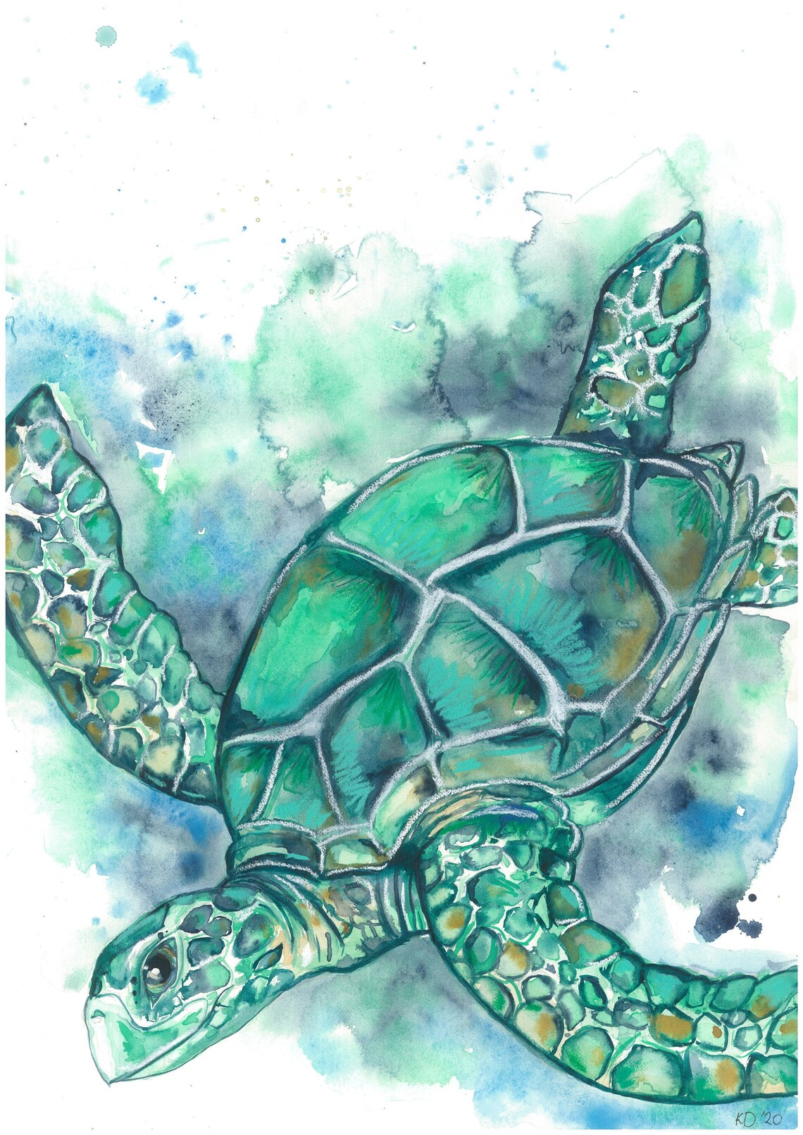 Art Print A4 Australian Sea Turtle - Etsy