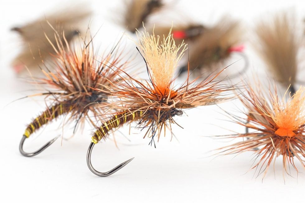 Parachute Ant Rust - Etsy