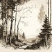 Forest Scene Sketch - Etsy