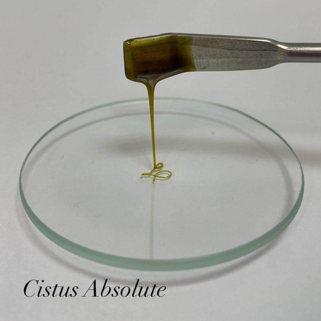 Cistus Absolute Cistus Ladaniferus Spain - Etsy