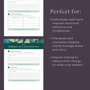 Circle of Control Worksheets, INSTANT DOWNLOAD, Mental Health Resource ...