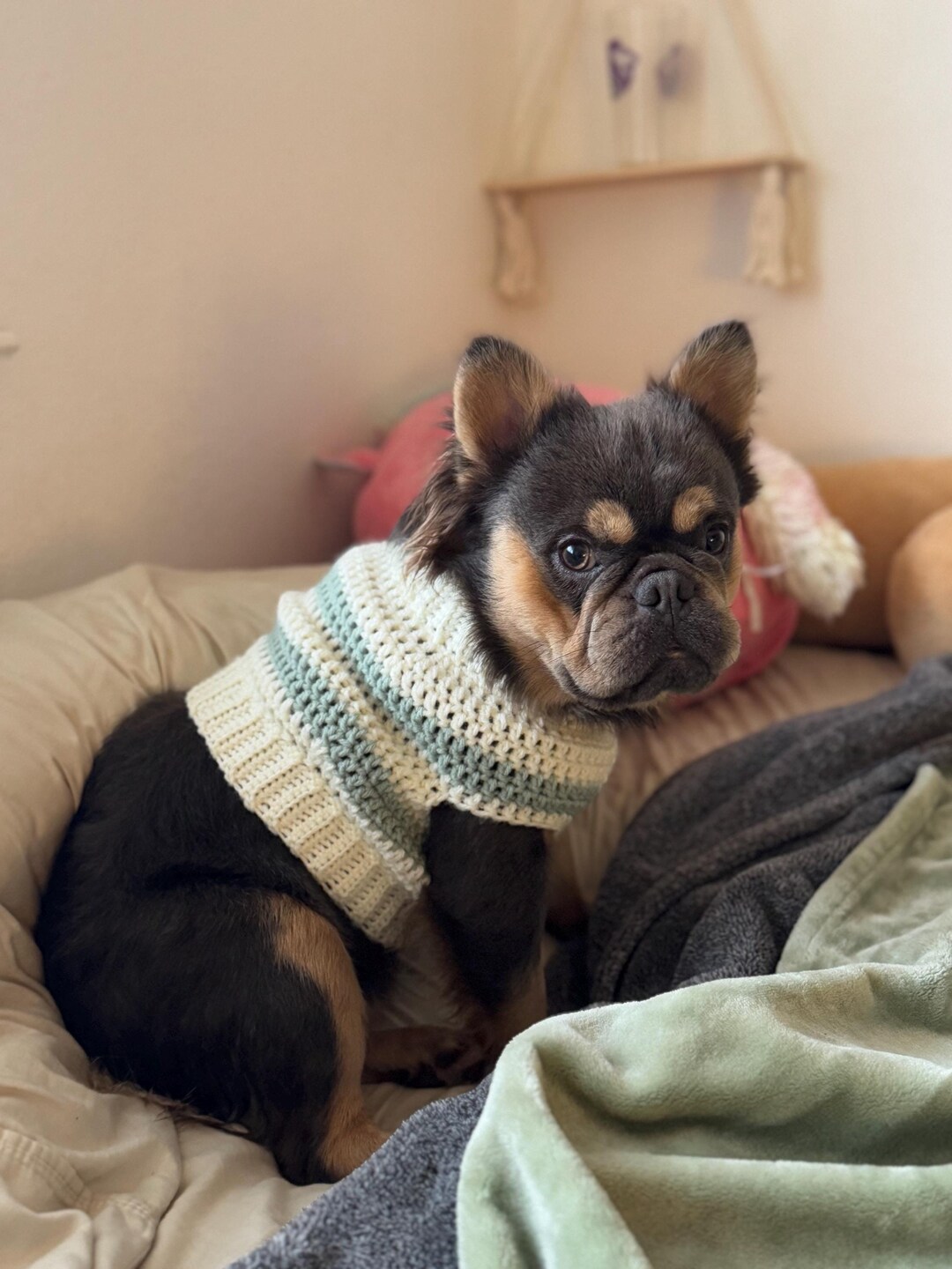 PATTERN Crochet Cozy Striped Sweater Vest for French Bulldogs and Other ...