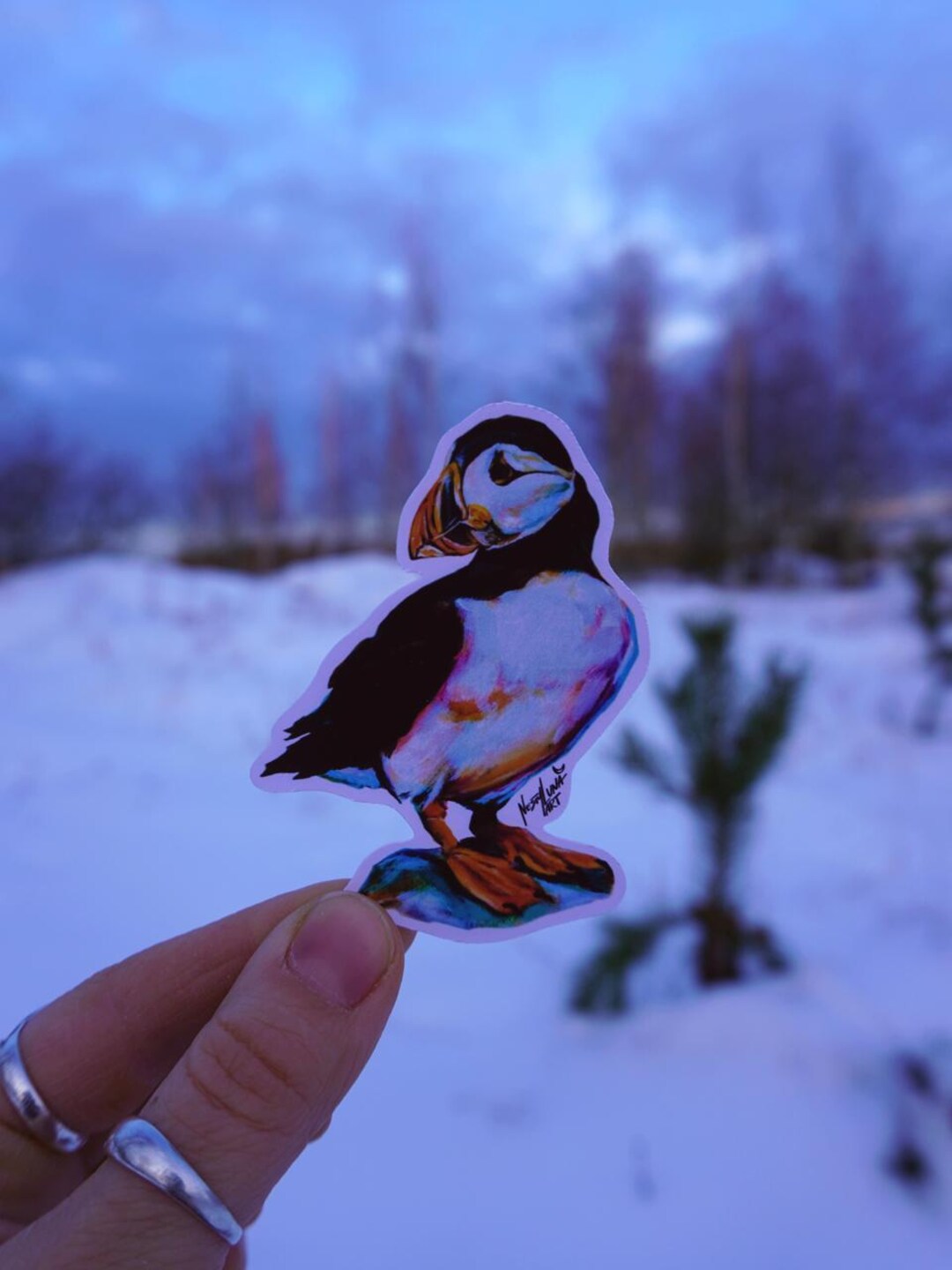Puffin Sticker // Puffin Art // Vinyl Sticker // Animal Sticker // Bird ...