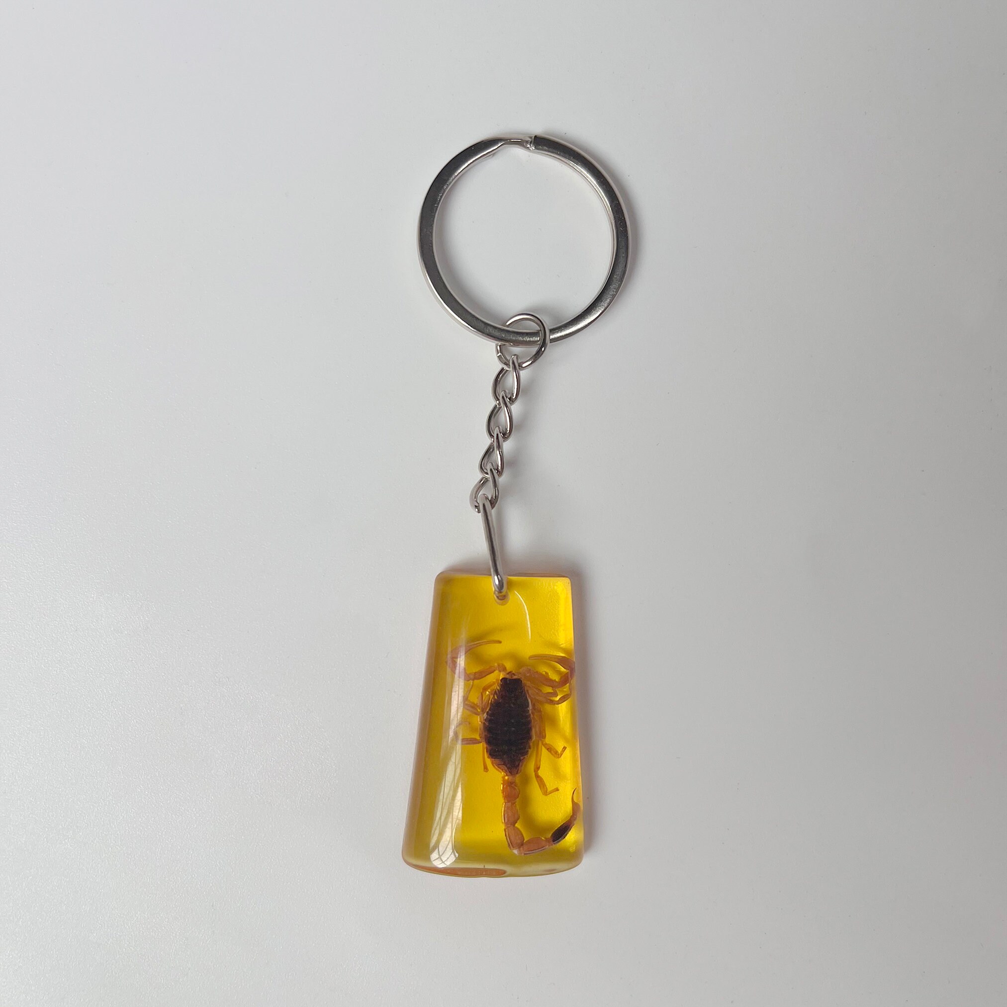 Real Scorpion Keychain in Resin,real Insect Scorpion Encased in Resin ...