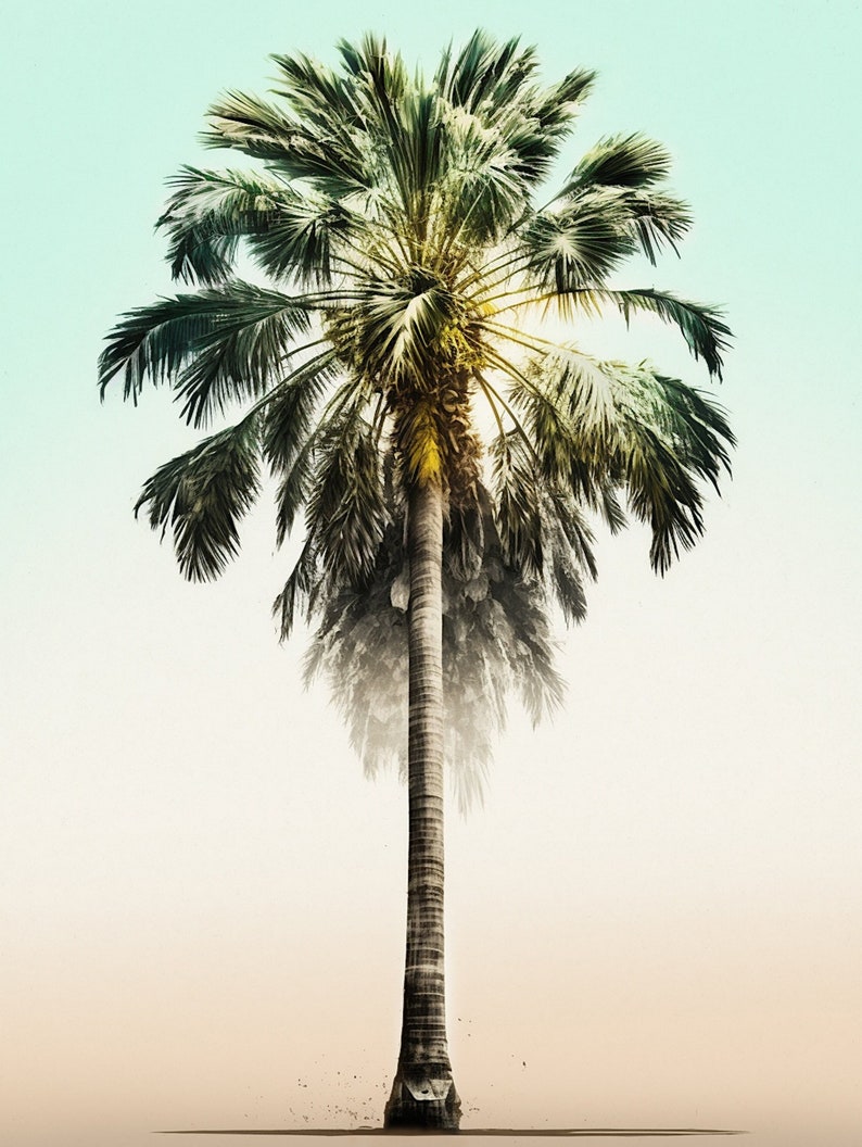 Palm Tree Digital Prints Modern Wall Art Hollywood Retro Style ...