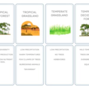 Ecosystems Aquatic and Terrestrial Biomes - Matching Vocabulary ...