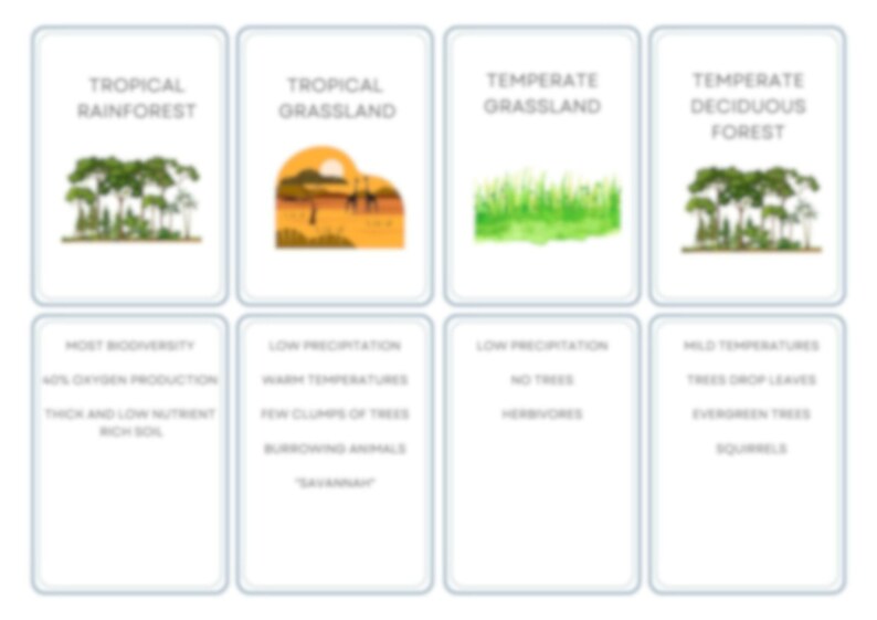 Ecosystems Aquatic and Terrestrial Biomes - Matching Vocabulary ...