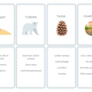 Ecosystems Aquatic and Terrestrial Biomes - Matching Vocabulary ...