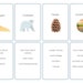 Ecosystems Aquatic and Terrestrial Biomes - Matching Vocabulary ...