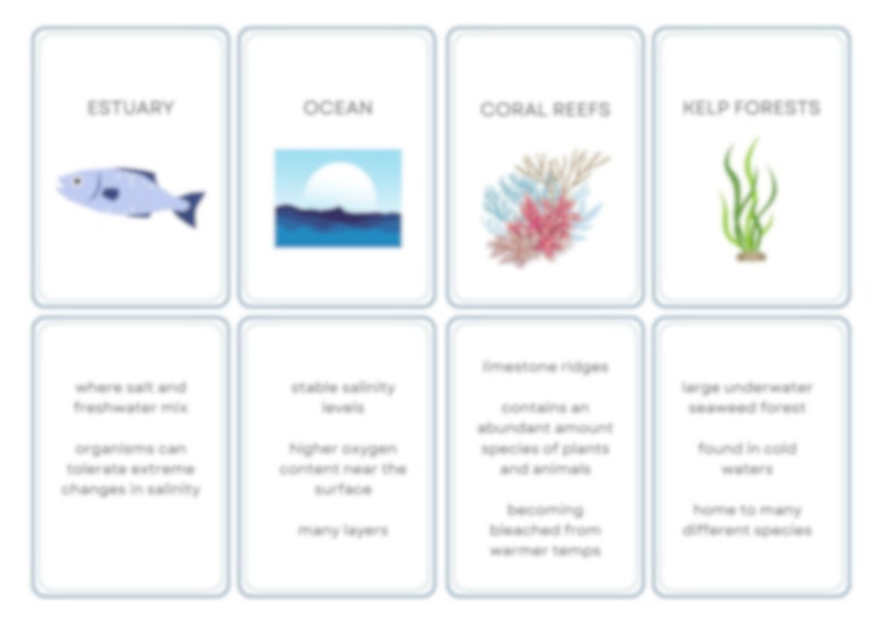 Ecosystems Aquatic and Terrestrial Biomes - Matching Vocabulary ...