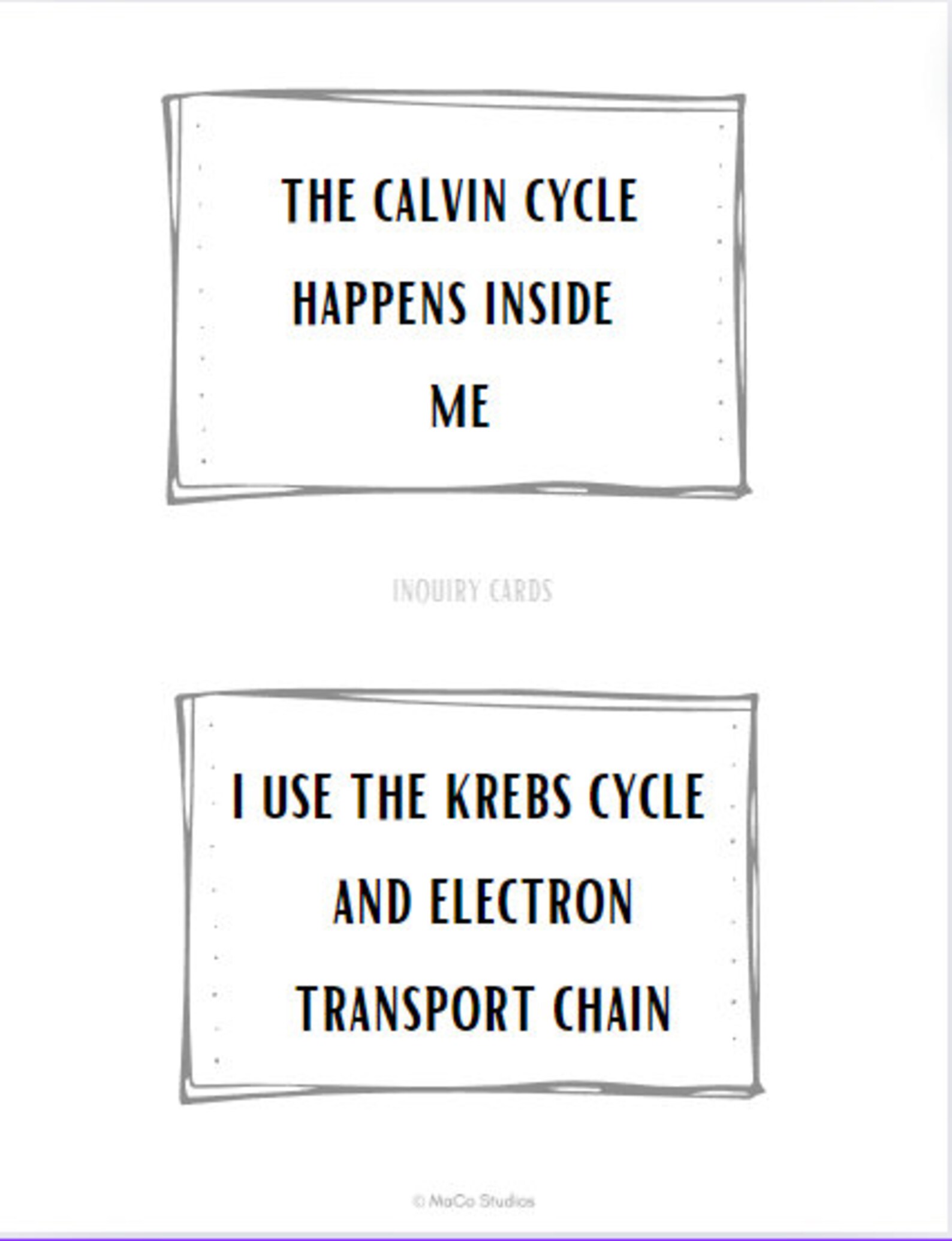 Biology, Photosynthesis and Cellular Respiration Paddle Cards ...