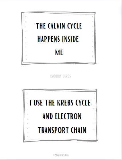 Biology, Photosynthesis and Cellular Respiration Paddle Cards ...