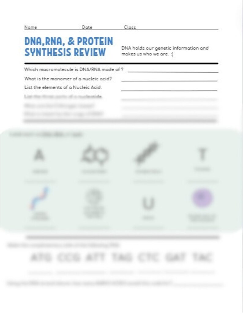 Biology DNA, RNA, and Protein Synthesis Basics Review Sheet - Etsy