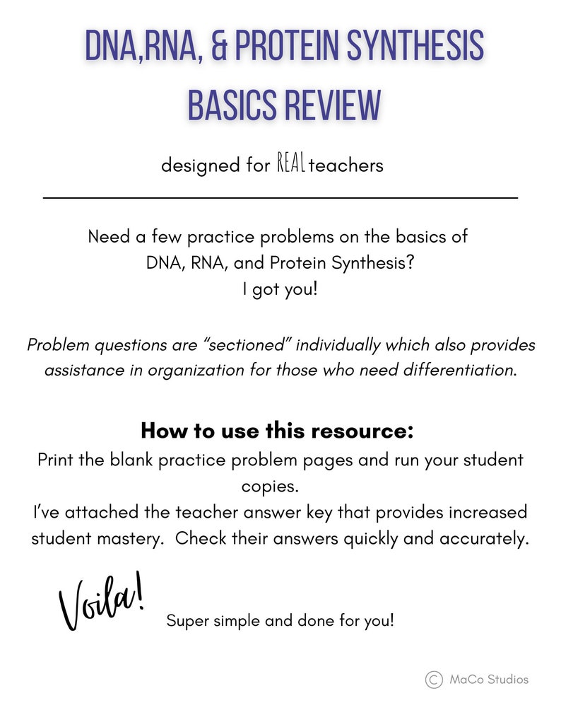 Biology DNA, RNA, and Protein Synthesis Basics Review Sheet - Etsy